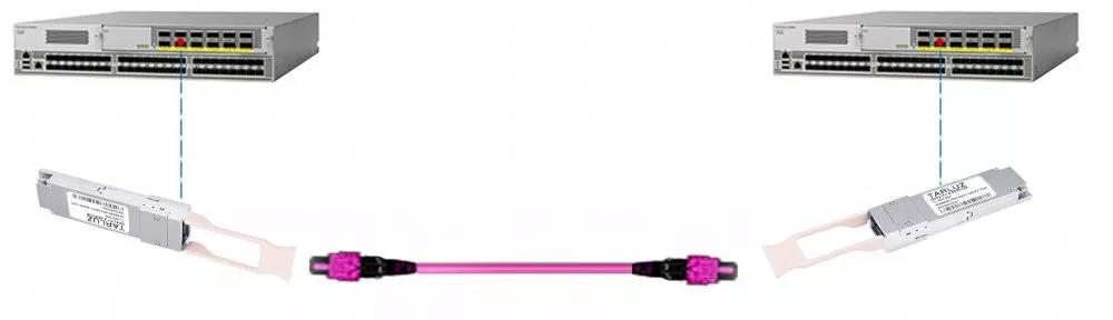 What Types of Fiber Optic Cable Should I Use for 10G / 40G / 100G ...